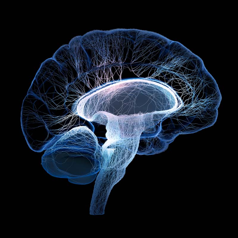 Neurotoxins And Sleep What You Need To Know Chronobiology