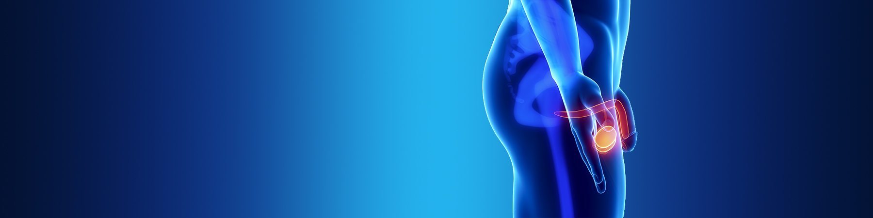 Andropause – Chronobiology.com