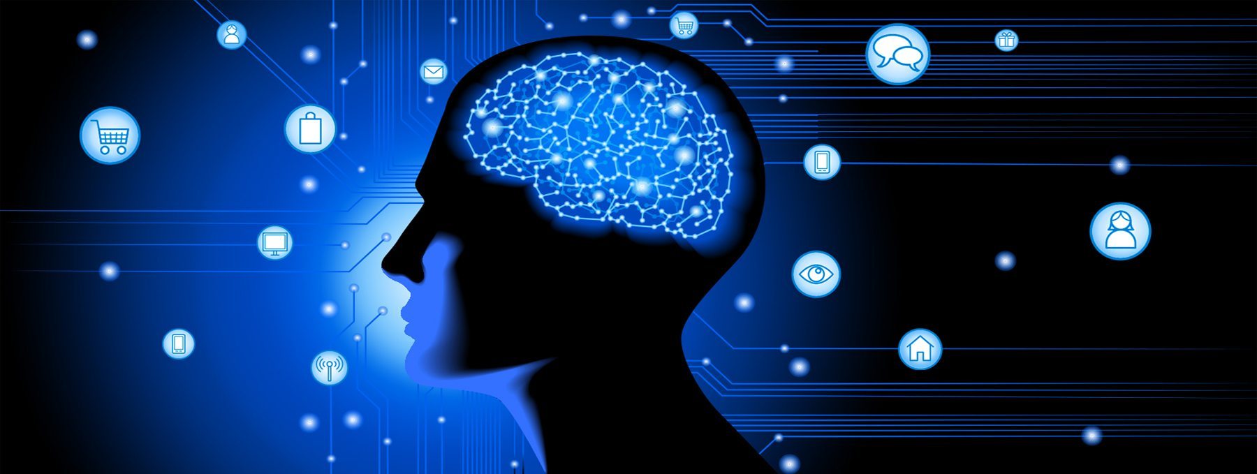 Chronobiology and How Our Internal Cycles Are Affected By External ...