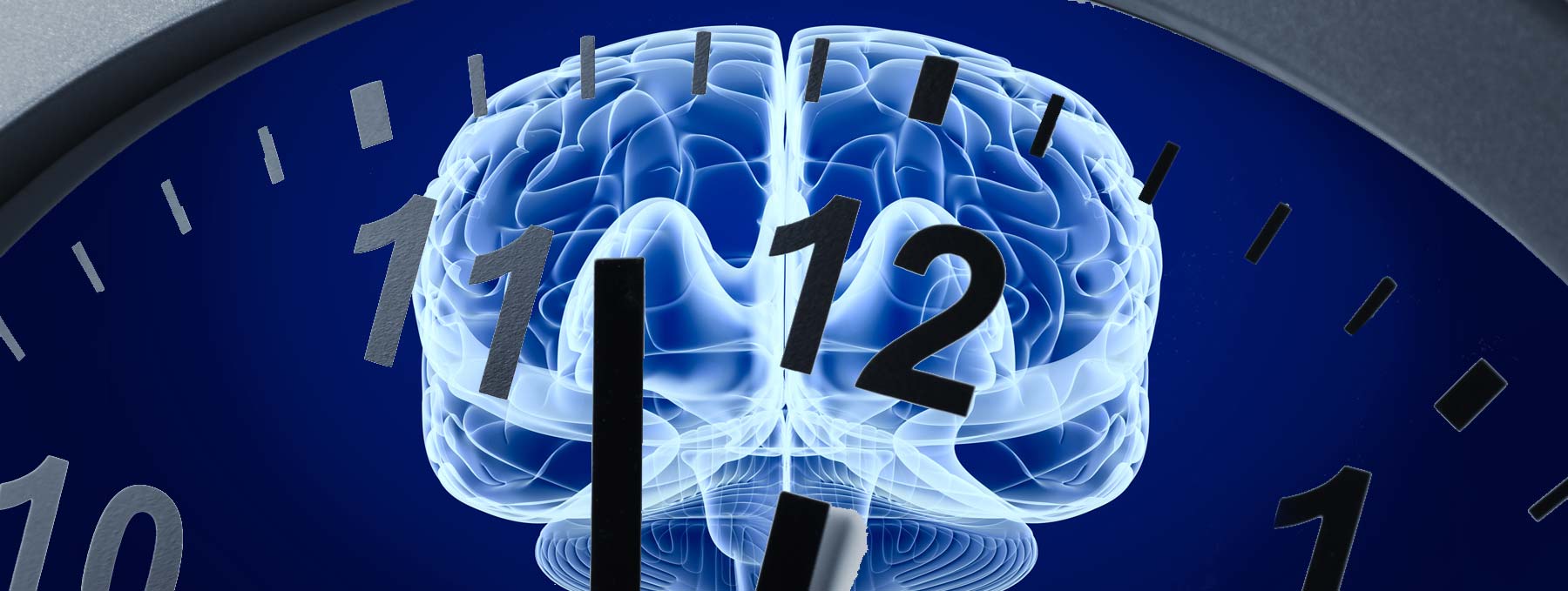 The Memory Molecule: Long Term Memory Improvement with IGF2 ...