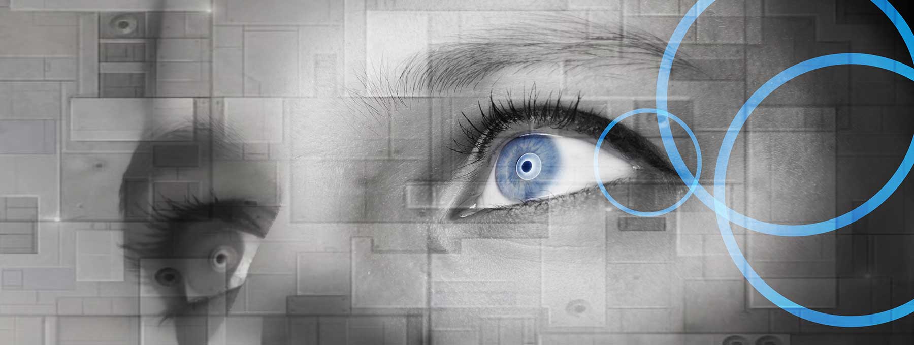 Study Finds Vision and Light are Key Players in Sleep-Wake Cycles