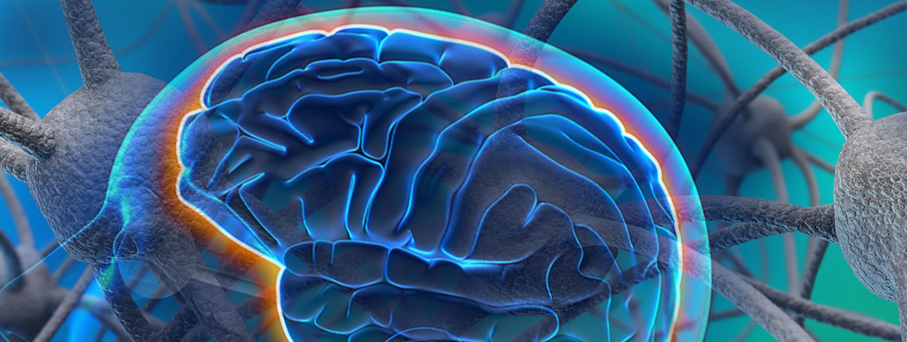 The Link Between Melatonin and Neurological Diseases – Chronobiology.com