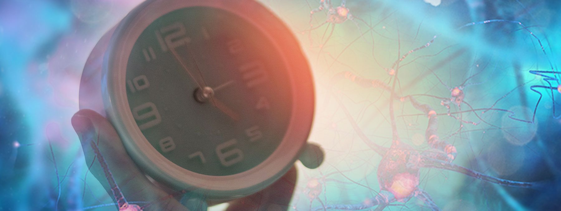 Dopamine-Producing Neurons Help Regulate Biological Clock ...