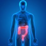 How Gut Bacteria Can Hijack Your Intestinal Circadian Rhythm Causing