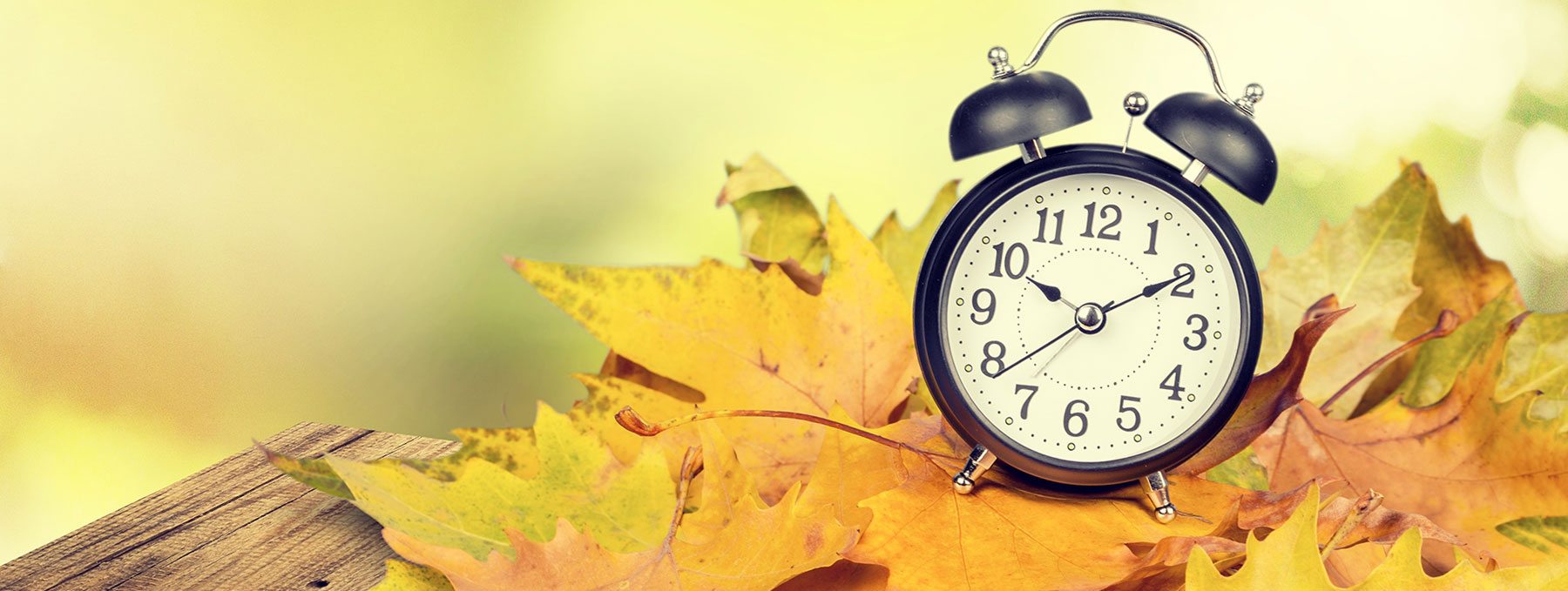 The Impact of Daylight Saving on the Circadian Clock – Chronobiology.com
