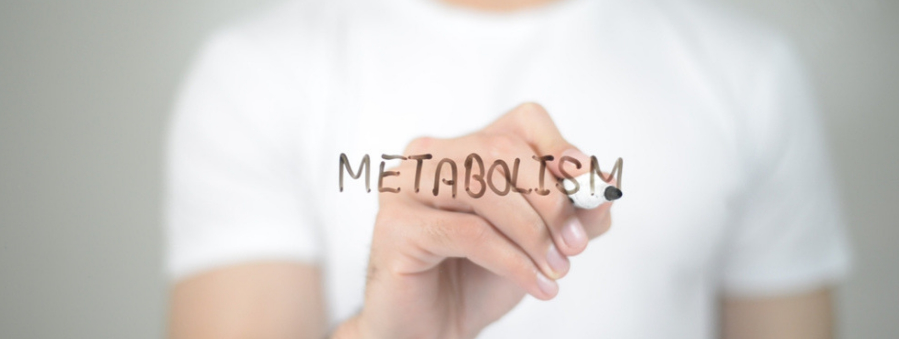 New Insights Into the Circadian Rhythm and Metabolism – Chronobiology.com