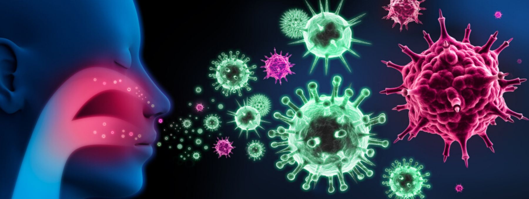 Sleep Hormone Melatonin Supports Immune System Health – Chronobiology.com