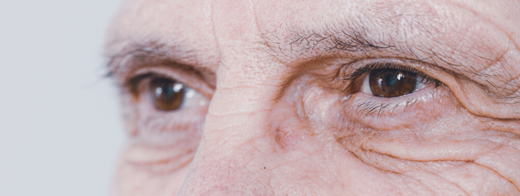 Understanding How Aging of Eyes Disrupts Circadian Rhythm ...