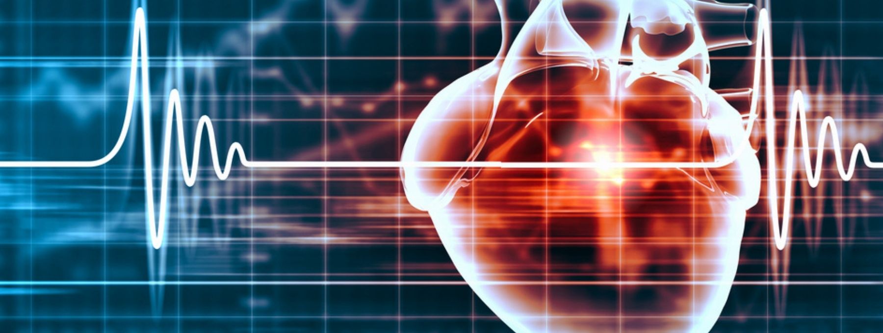 The Circadian Rhythm and Cardiovascular Disease – Chronobiology.com