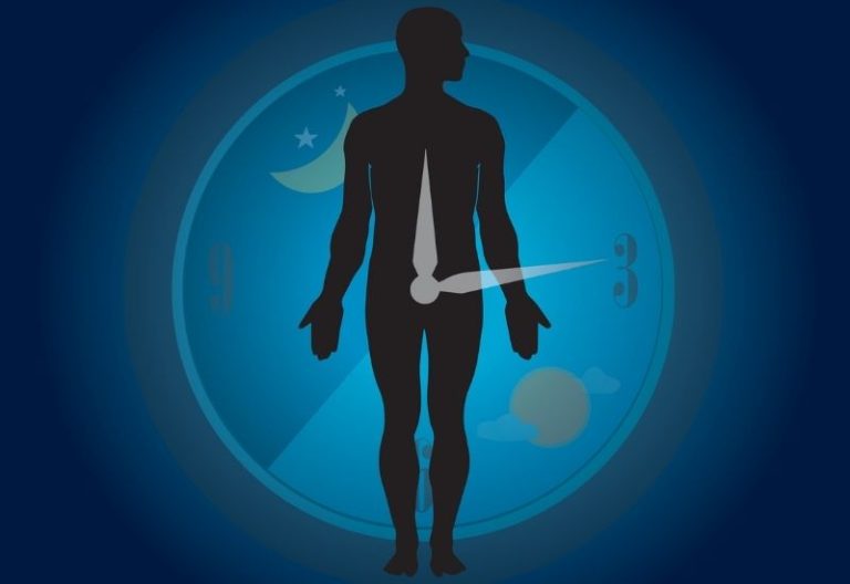 The Chronodiet: The Ultimate Meal Timing Plan – Chronobiology.com