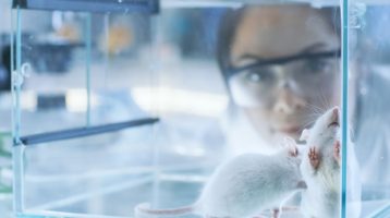 Chronobiology and the Science of Time – Chronobiology.com