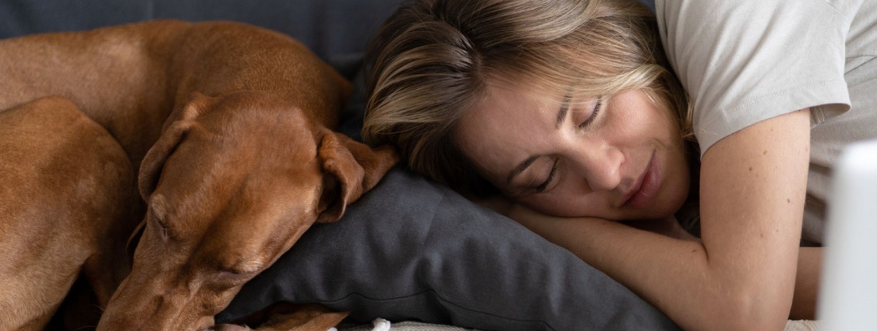 The 4 Types of Naps: Which is Best for You? – Chronobiology.com