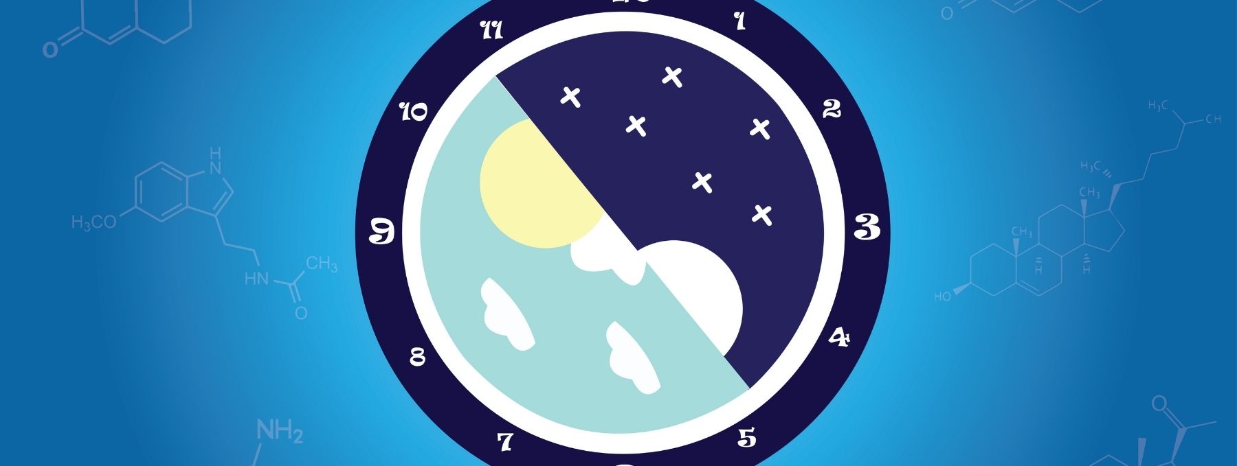 Research Demonstrates How Prebiotics Help Regulate Circadian Rhythm ...