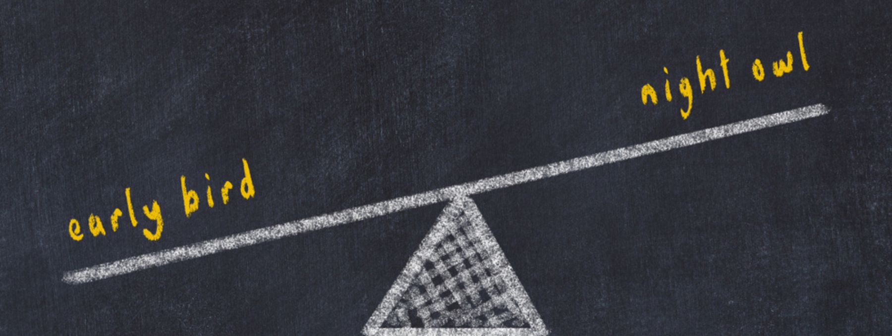 What is My Chronotype: Early Bird, Night Owl or Somewhere In Between ...