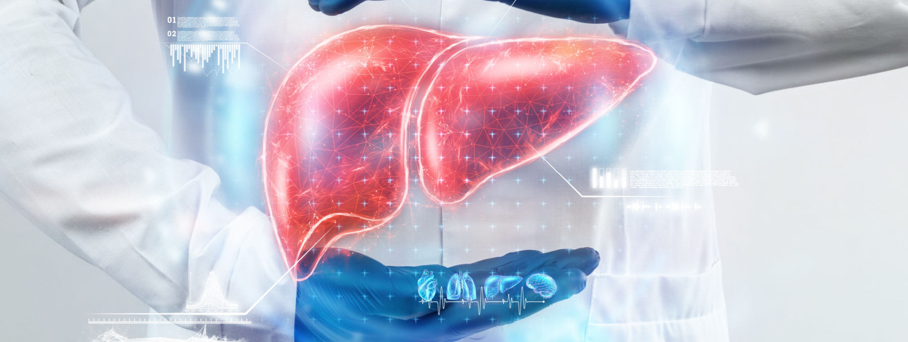 The Role of the Circadian Clock in Liver Cancer – Chronobiology.com