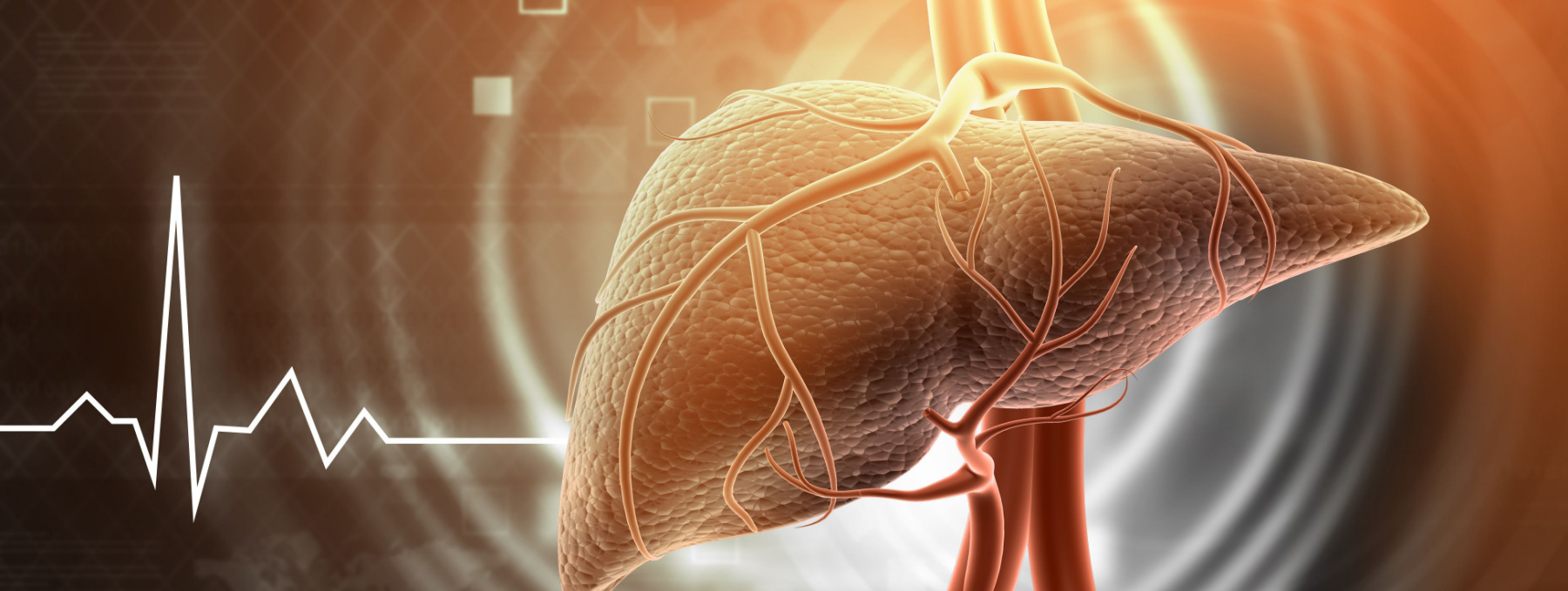 Nicht-alkoholische Fettlebererkrankung kann das Gehirn gefährden – Chronobiology.com