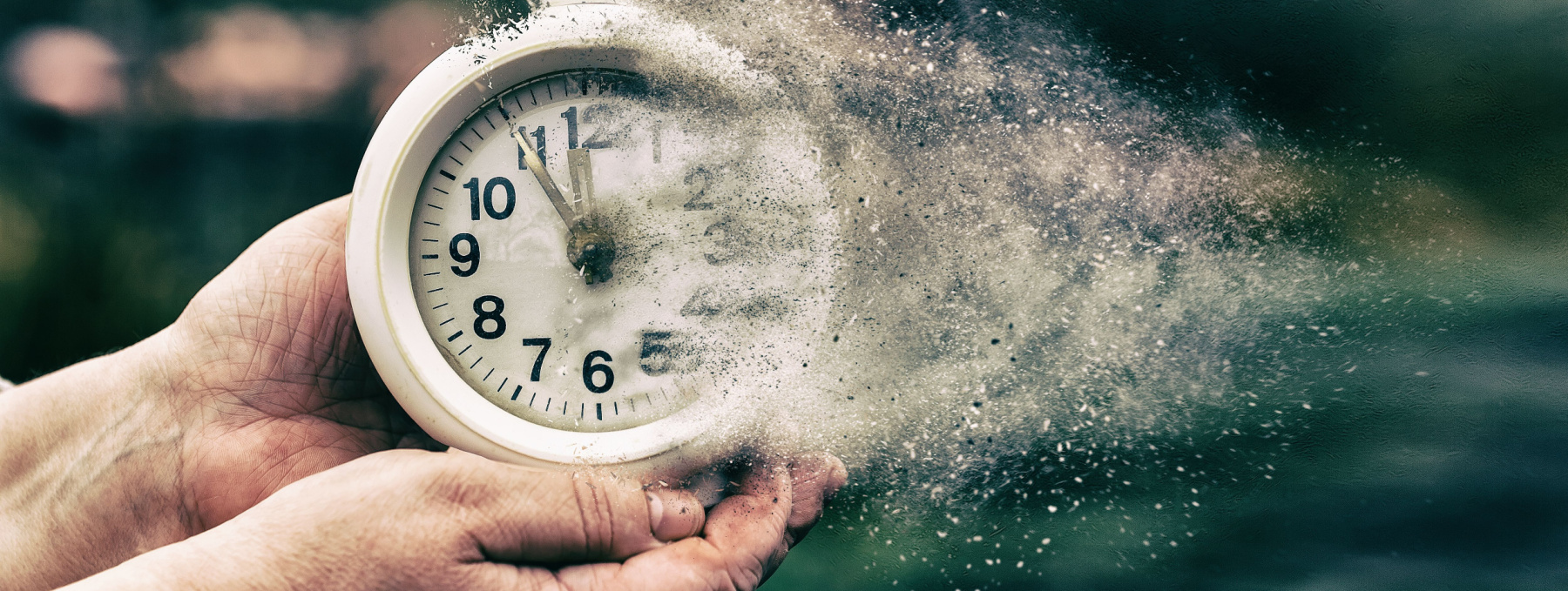 Scientists Have Discovered that Ageing Clocks are Based on Random ...