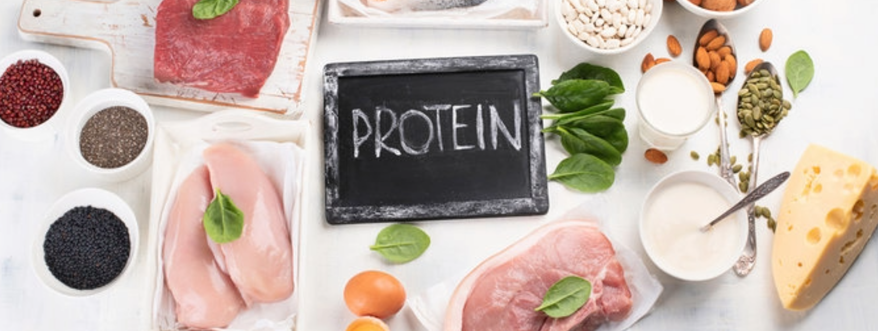 Crononutrição: O uso de proteínas como um elixir matinal para o ...